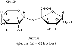 Study Biochemistry | BioJoe